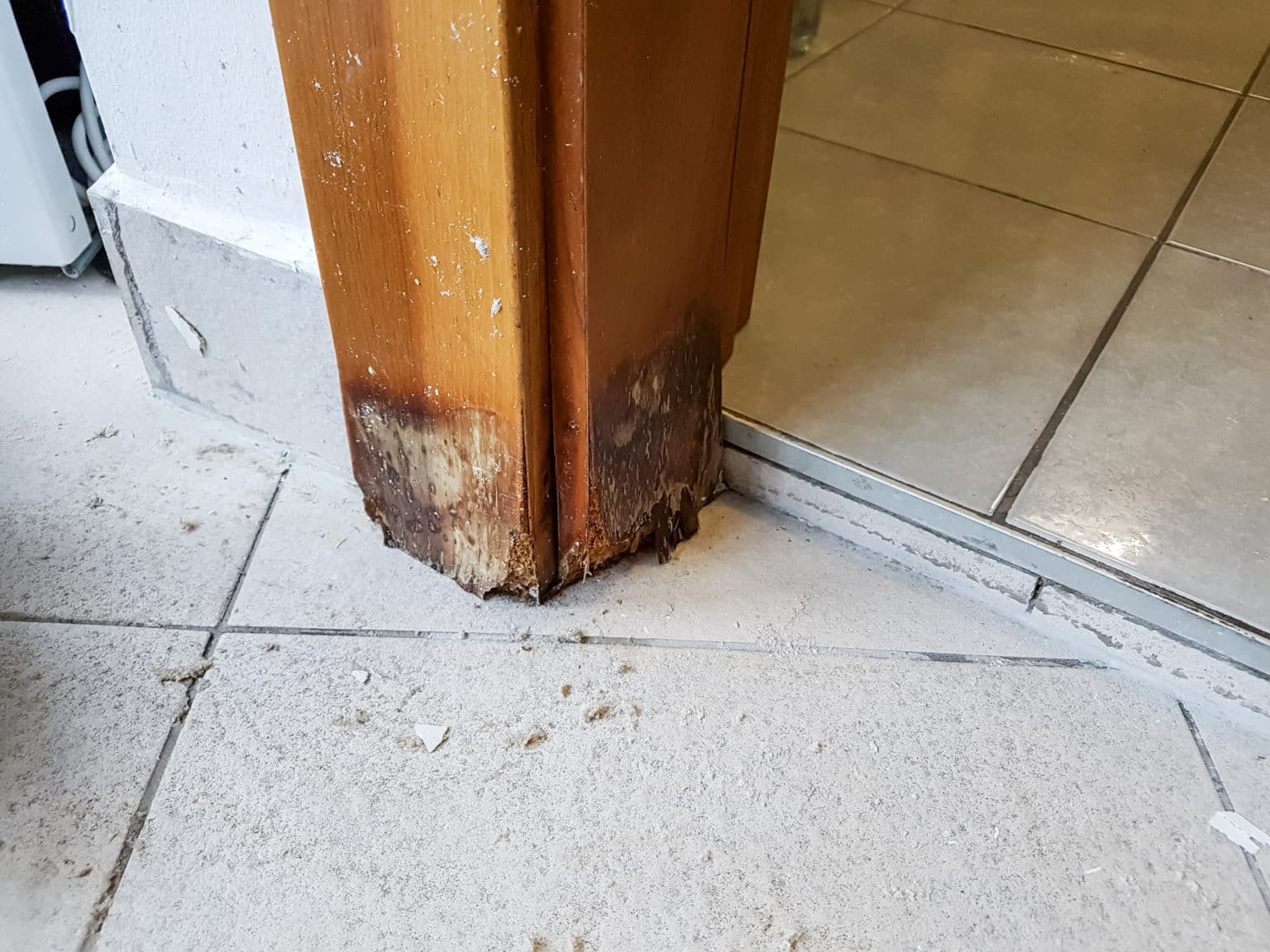 How to Spot Wood Rot Around Your Home | Sunset Builders, Inc.